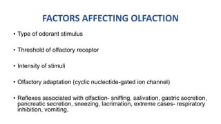 Demonstrate testing for smell and taste mbbs | PPTX