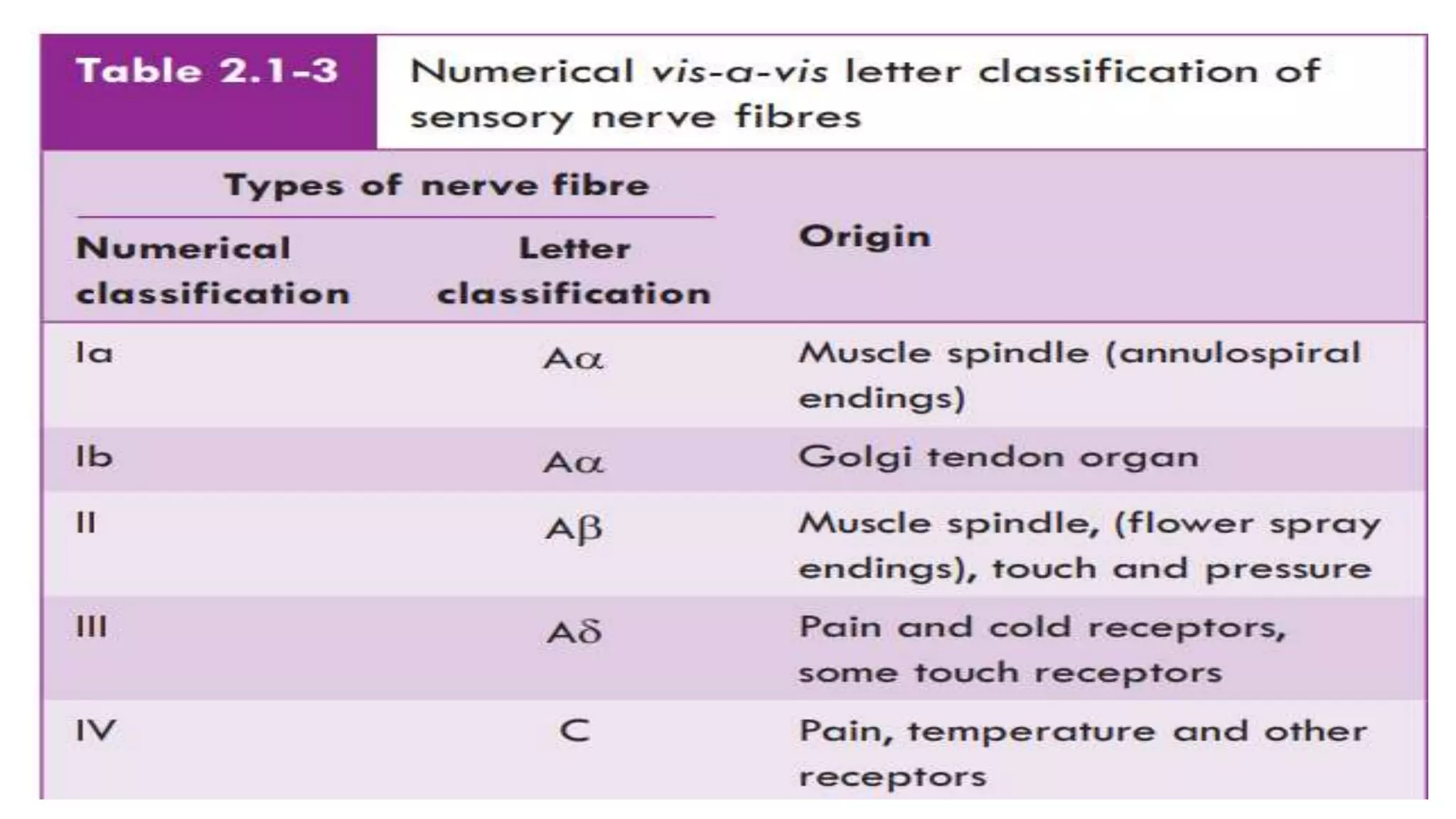 PY3.2 Describe the types, functions & properties of nerve fiber.pptx