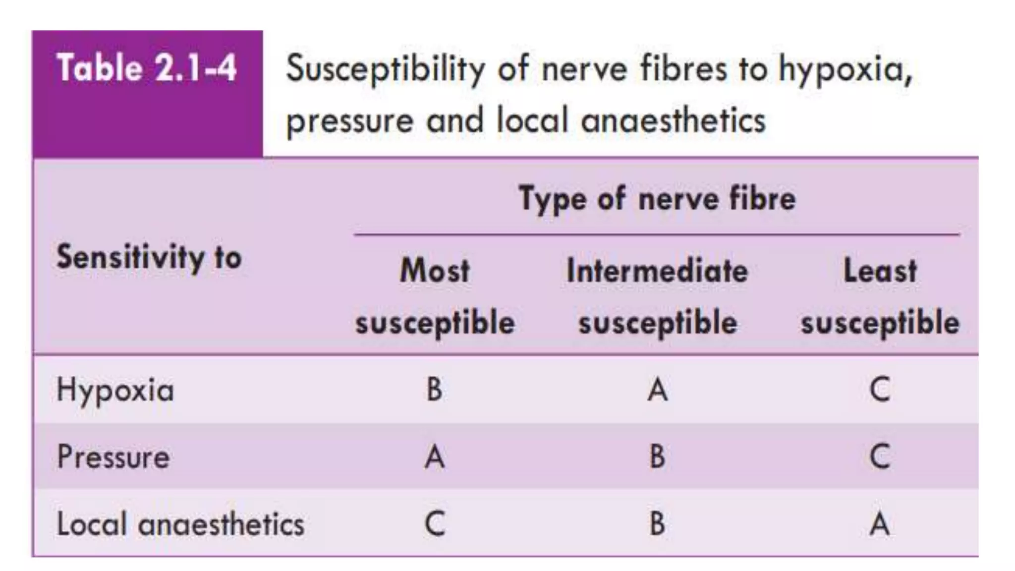 PY3.2 Describe the types, functions & properties of nerve fiber.pptx