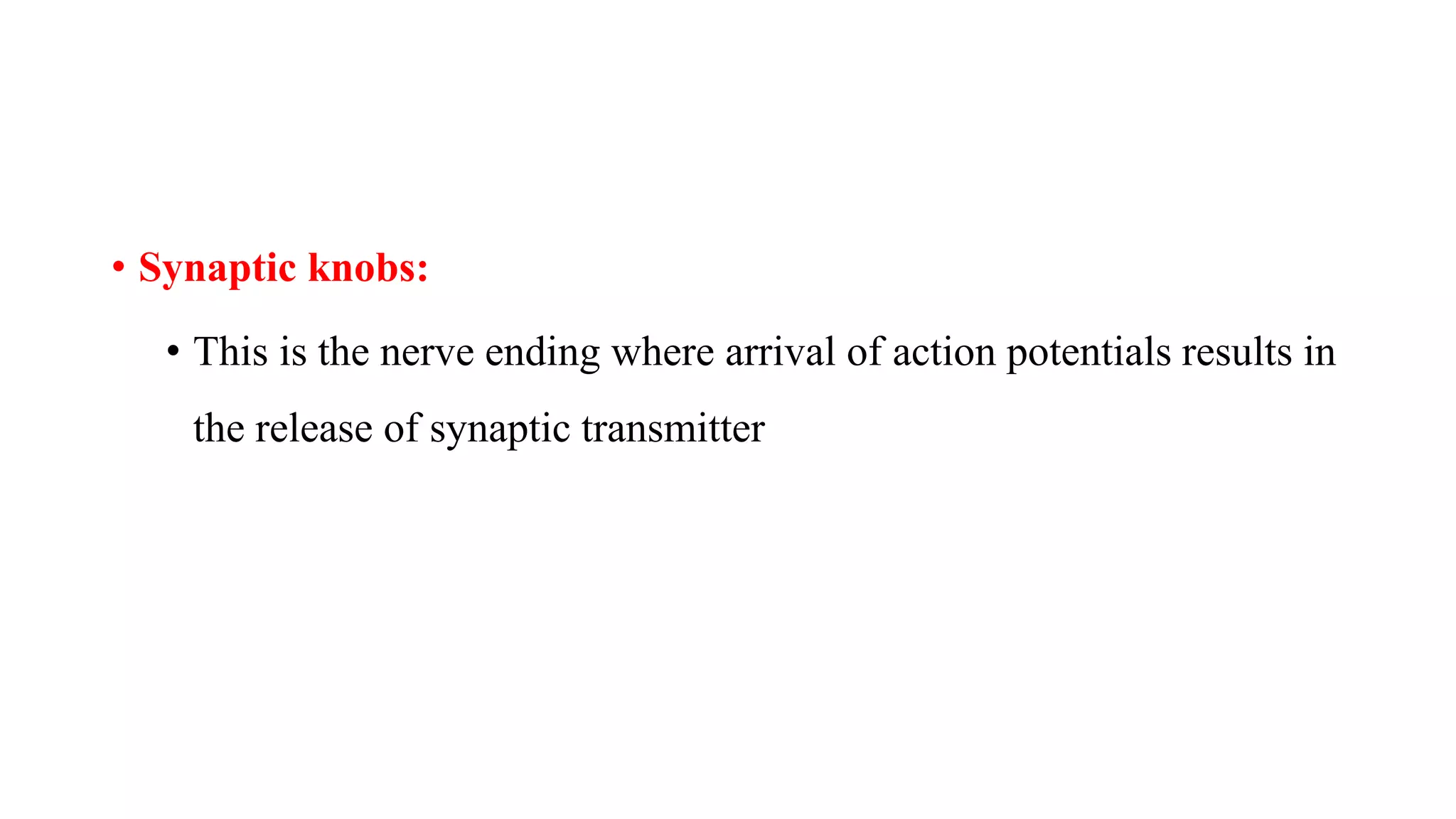 PY3.2 Describe the types, functions & properties of nerve fiber.pptx