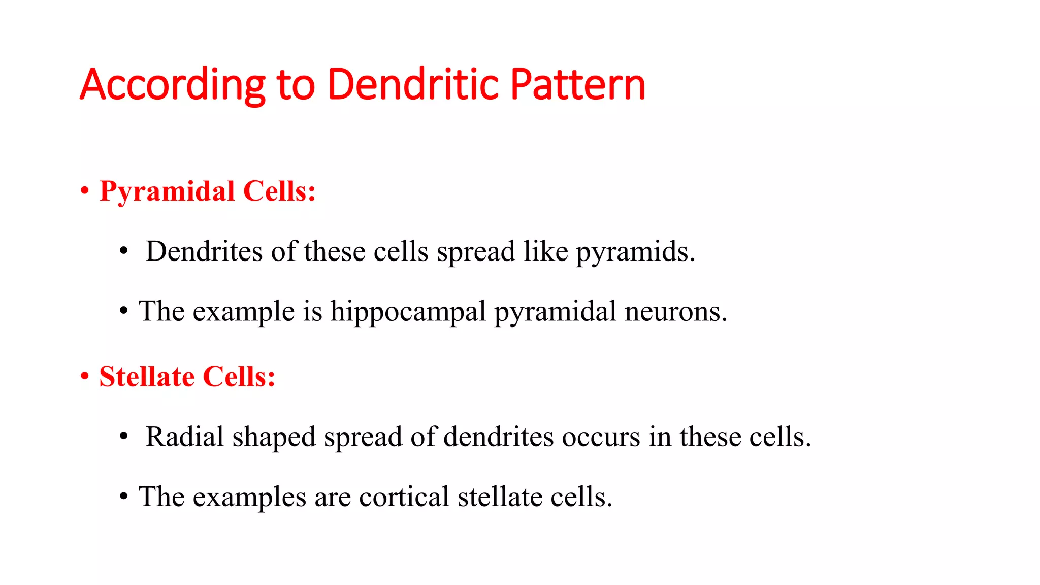 PY3.2 Describe the types, functions & properties of nerve fiber.pptx