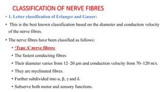 PY3.2 Describe the types, functions & properties of nerve fiber.pptx