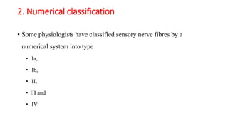 PY3.2 Describe the types, functions & properties of nerve fiber.pptx