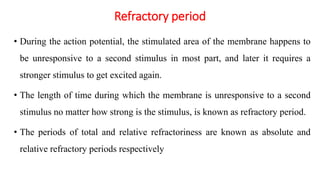 PY3.2 Describe the types, functions & properties of nerve fiber.pptx