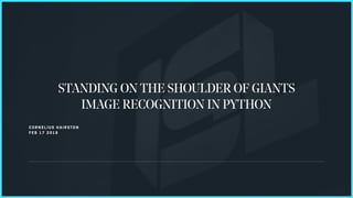 Py Caribbean Image Recognition in Python | PPT