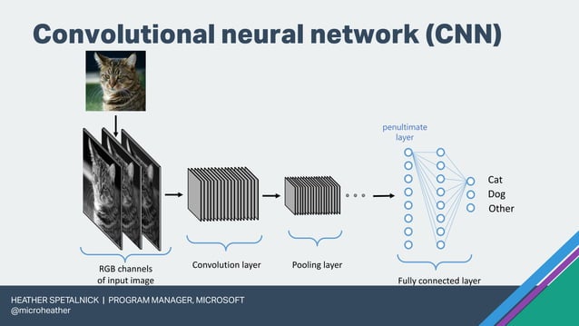 Dog Breed Classification using PyTorch on Azure Machine Learning | PDF | Cloud Computing | Internet