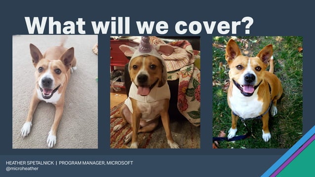 Dog Breed Classification using PyTorch on Azure Machine Learning | PDF | Cloud Computing | Internet