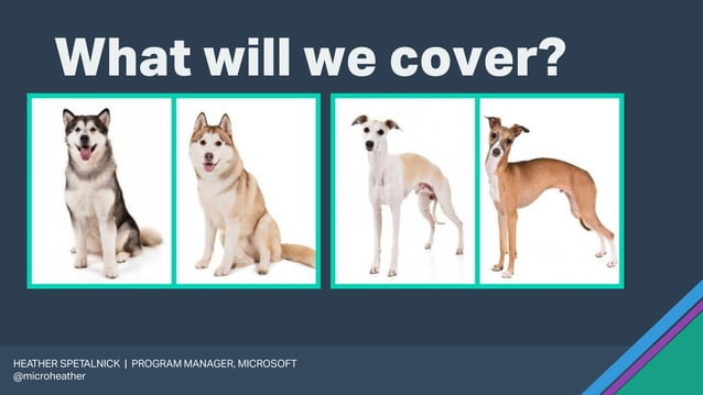 Dog Breed Classification using PyTorch on Azure Machine Learning | PDF | Cloud Computing | Internet