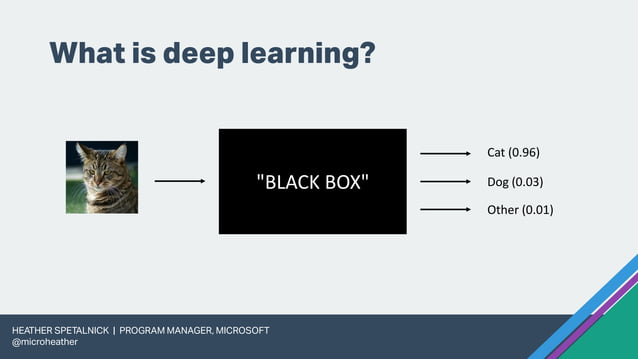 Dog Breed Classification using PyTorch on Azure Machine Learning | PDF | Cloud Computing | Internet