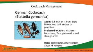 Pest Control Management: Roaches, Rodents and Flies | PPT