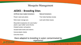 Pest Control Management: Roaches, Rodents and Flies | PPT