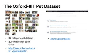 PyData NYC: Build an AI-powered Pet Detector with Visual Studio Code | PPTX