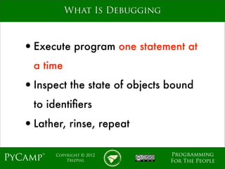 Python Debugging Fundamentals | PDF