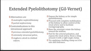 Open Pyelolithotomy | PPTX