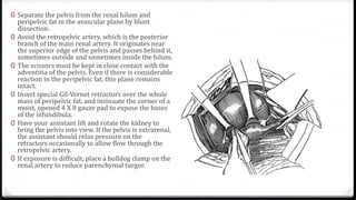 Open Pyelolithotomy | PPT