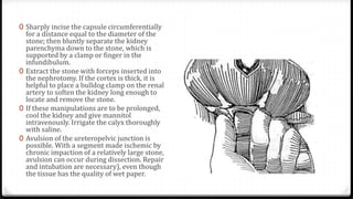 Open Pyelolithotomy | PPTX