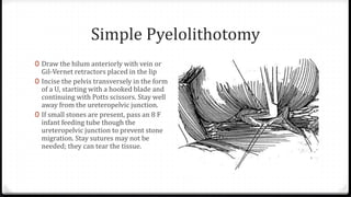Open Pyelolithotomy | PPT