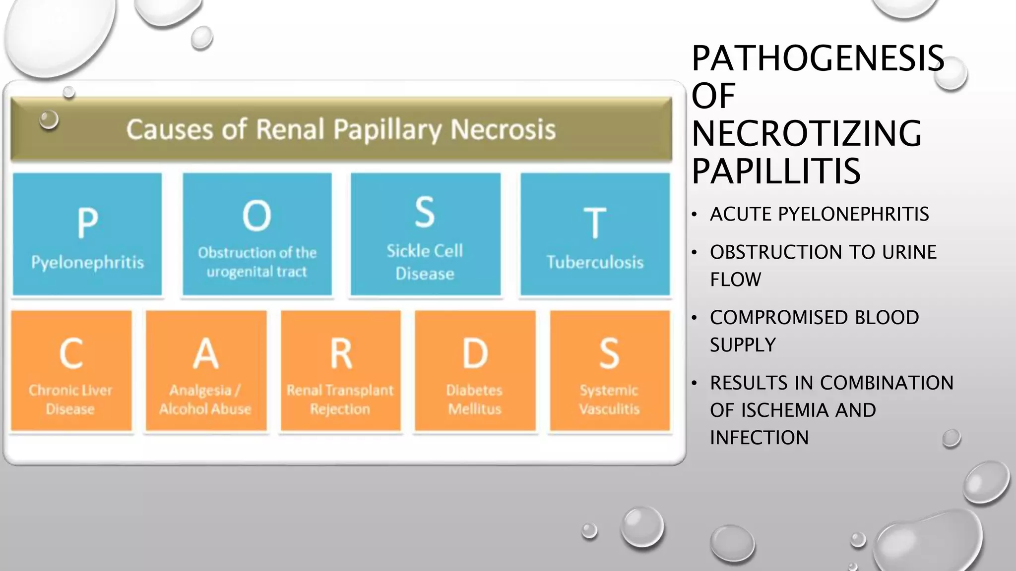 Pyelonephritis | PPTX