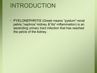 pyelonephritis-180704175227.pdf important | PDF