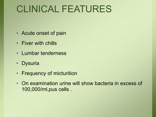 Pyelonephritis, ACUTE PYELONEPHRITIS, CHRONIC PYELONEPHRITIS, | PPTX