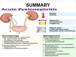 Pyelonephritis