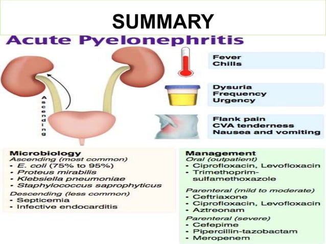 Pyelonephritis, ACUTE PYELONEPHRITIS, CHRONIC PYELONEPHRITIS,