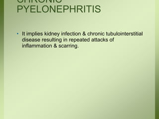 pyelonephritis-1807041752273433 (2).pptx