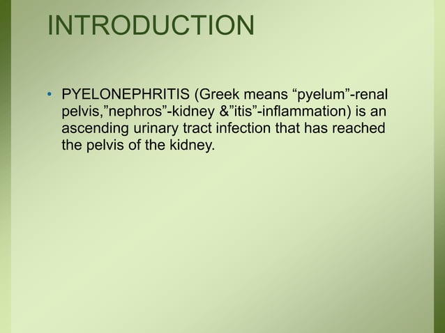 pyelonephritis-1807041752273433 (2).pptx | Free Download