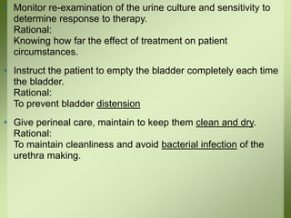 pyelonephritis-1807041752273433 (2).pptx