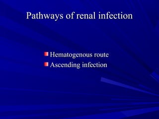 Pyelonephritis csbrp | PPT
