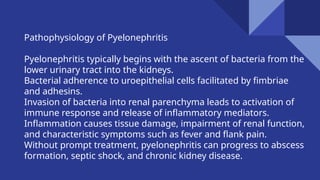 Pyelonephritis kidney renal sysytem ppt x | PPTX