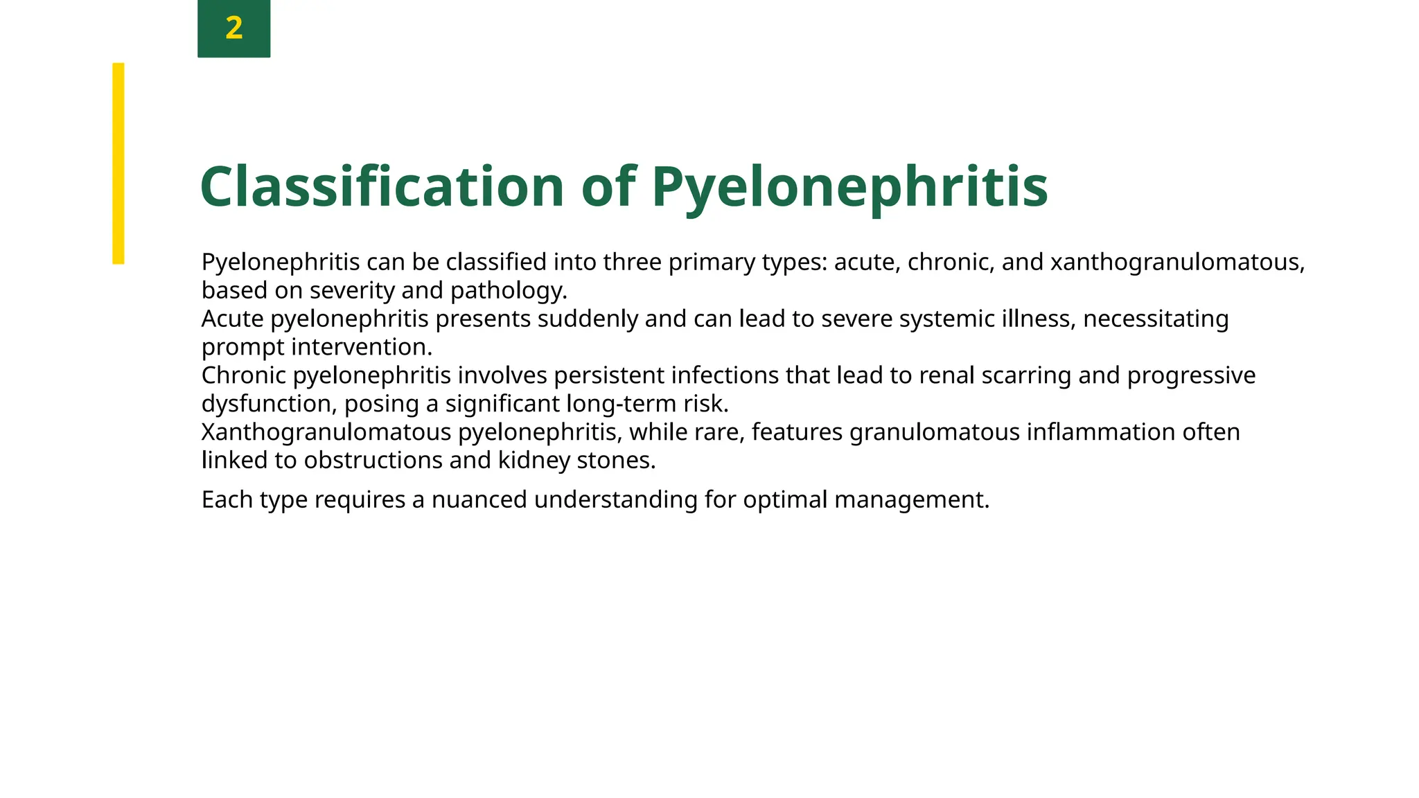 PyelonephritisAComprehensiveOverview842f3300b783358e.pptx