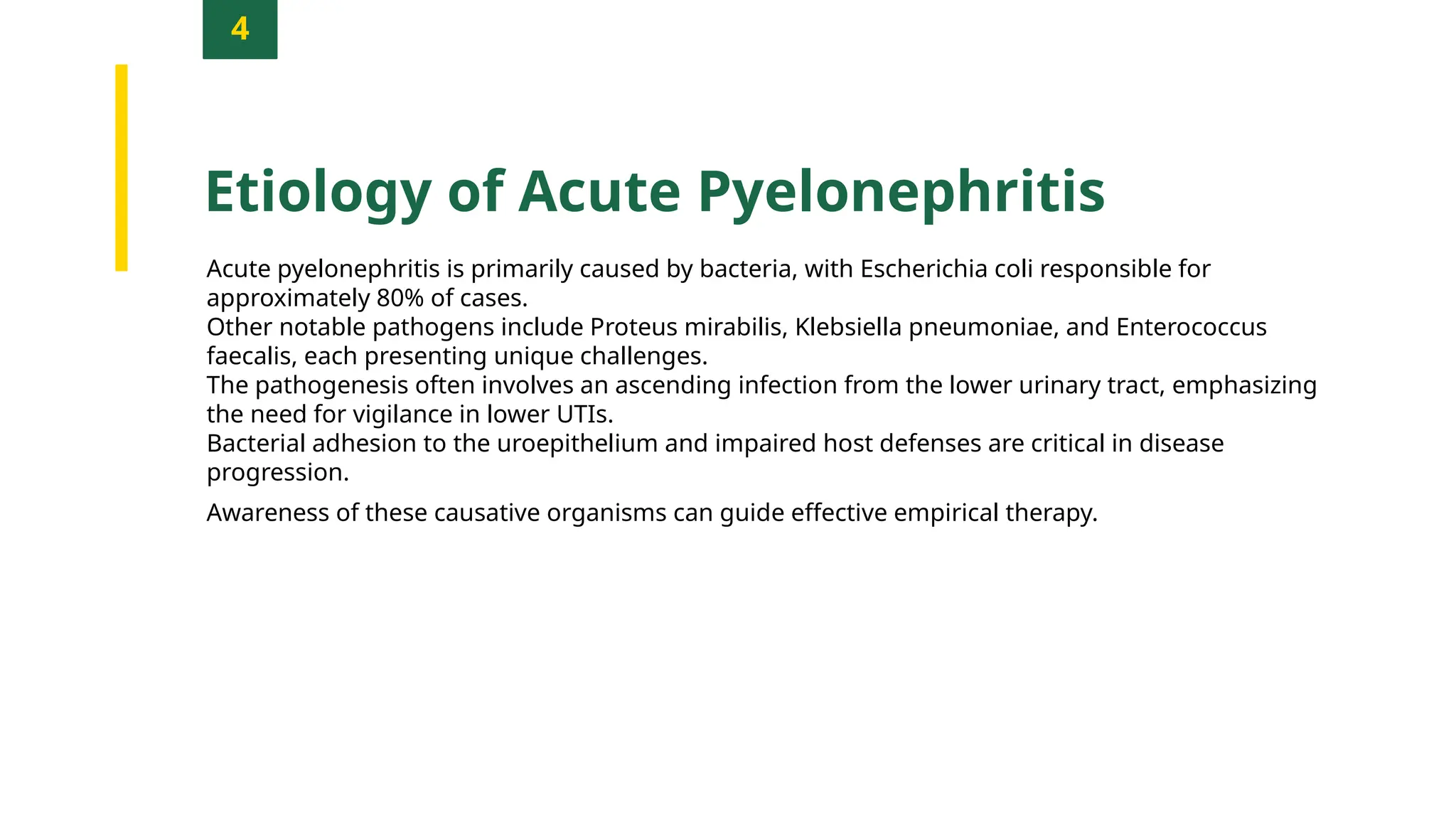 PyelonephritisAComprehensiveOverview842f3300b783358e.pptx