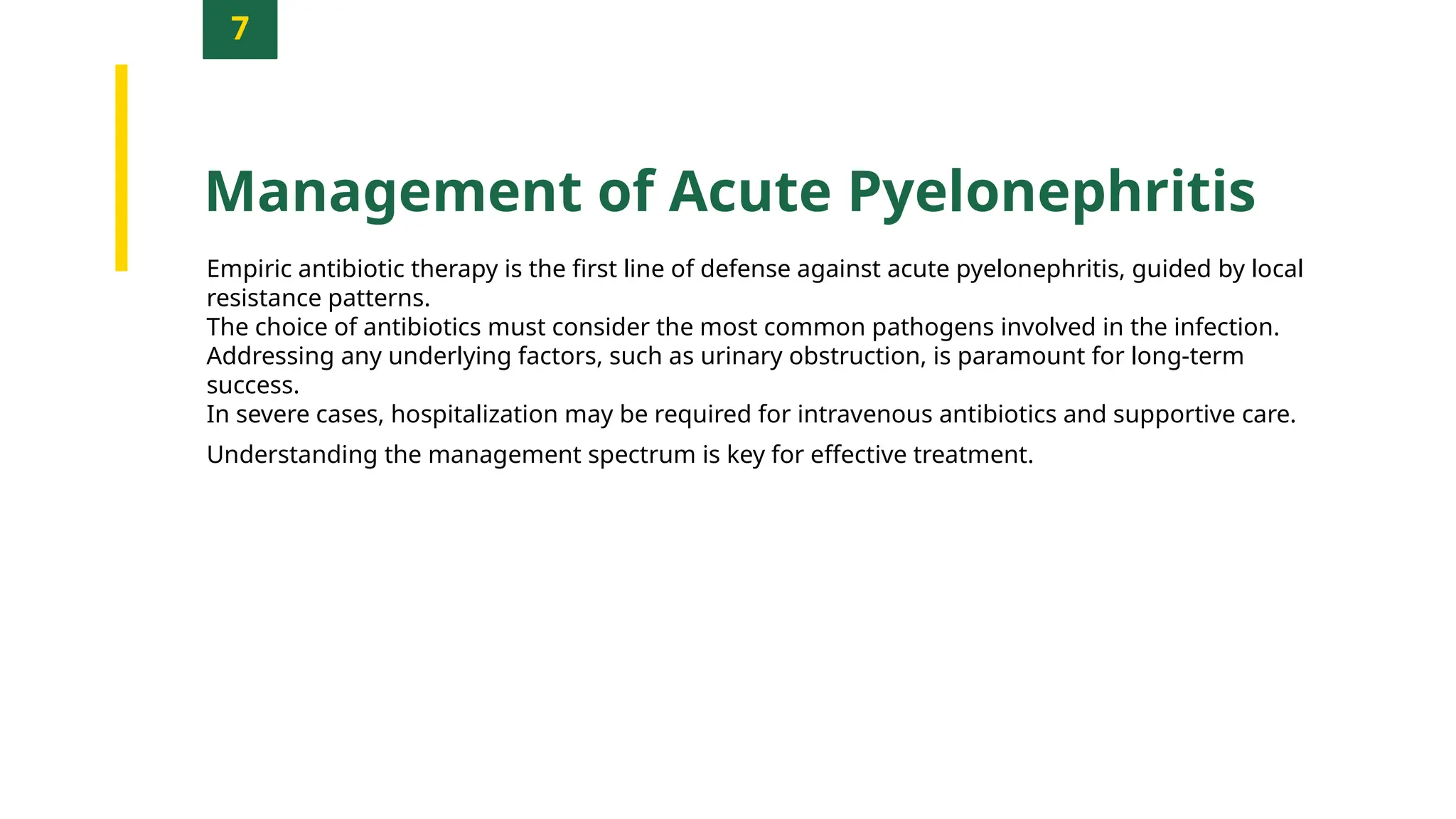 PyelonephritisAComprehensiveOverview842f3300b783358e.pptx