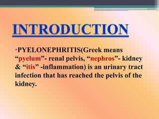 PYELONEPHRITIS(MSN).pptx
