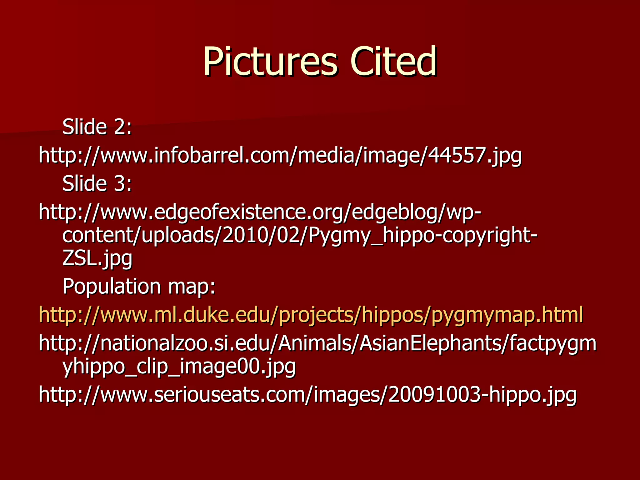 Pygmy hippopotamus | PPT