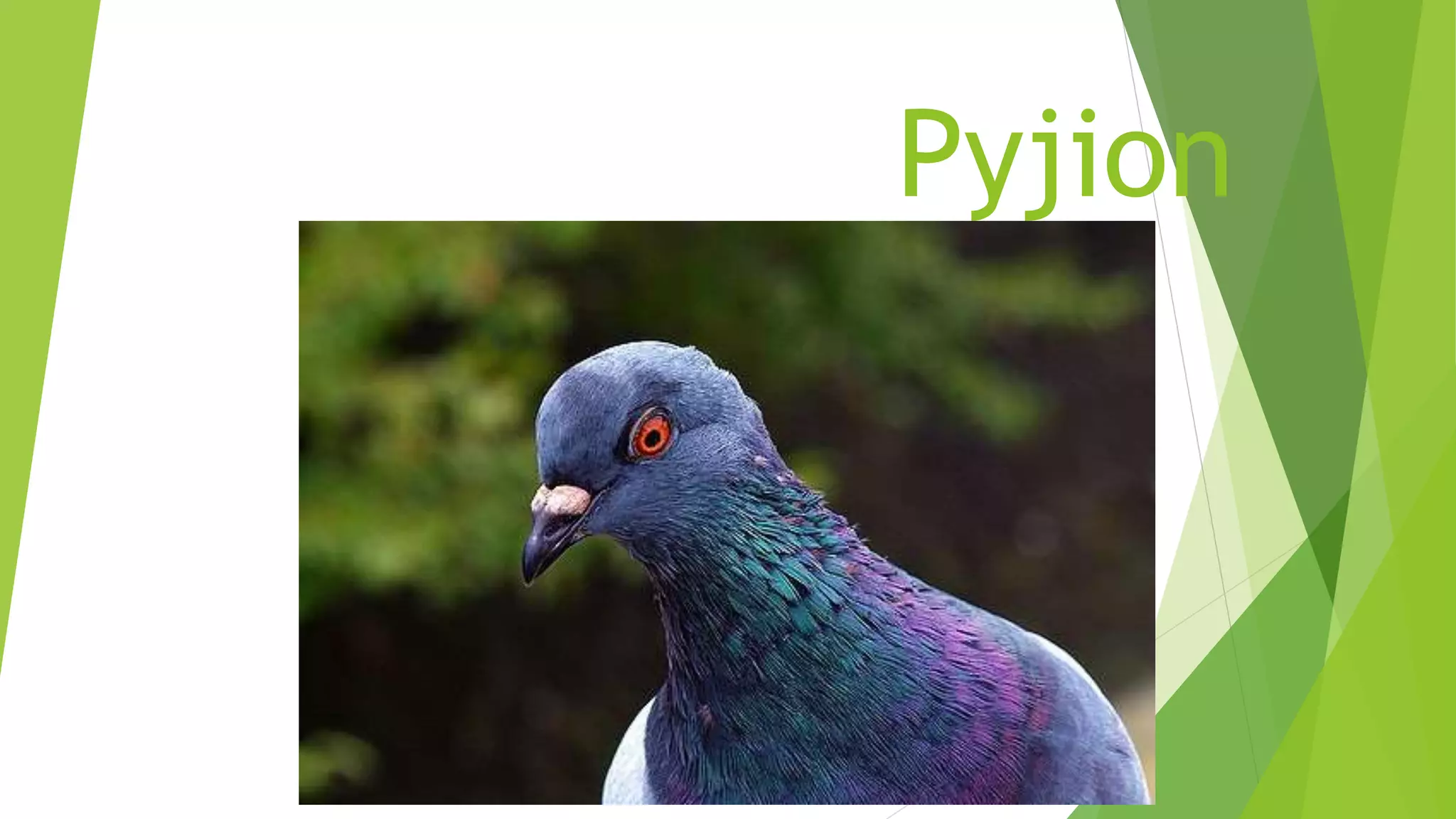 Pyjion - a JIT extension system for CPython | PPTX | Web Development | Internet