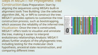 pylogenetic tree analysis of drawin finches use megablast | PPTX