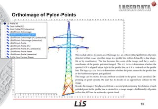 Pylon analysis of LiDAR data with Laserdata LiS | PDF
