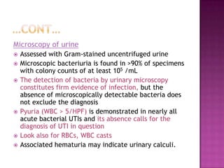 Pylonephritis,seminar presentation.. | PPT