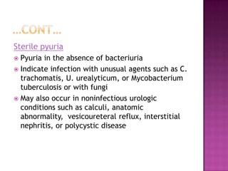 Pylonephritis,seminar presentation.. | PPTX