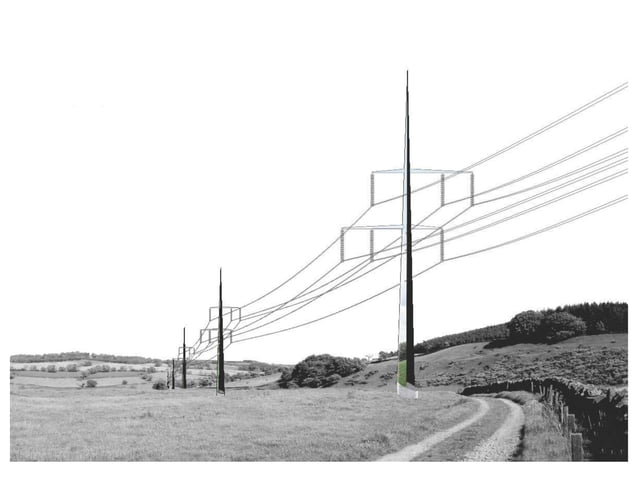 Pylon presentation1 Silhouette | PPTX | Landscaping | Home & Garden