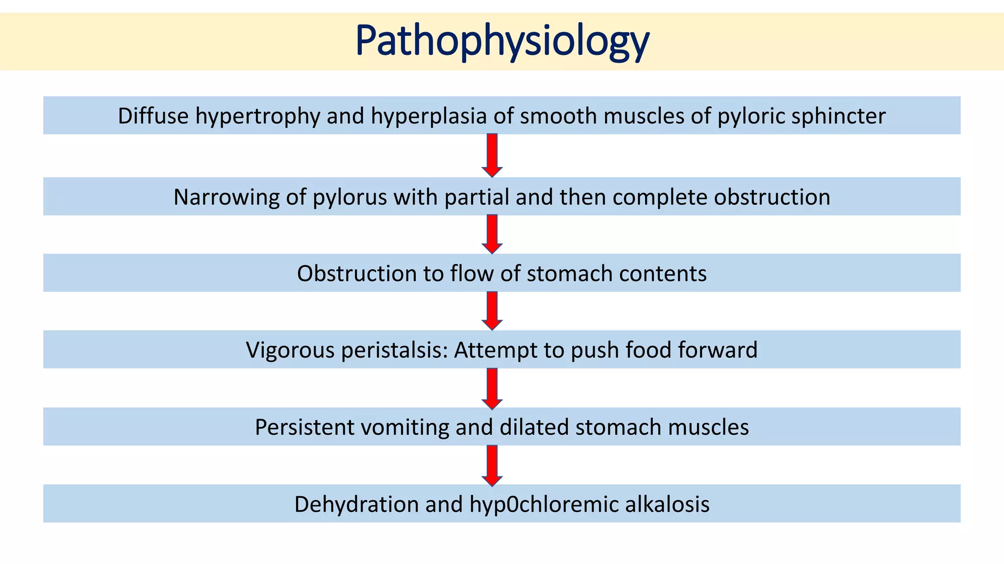 Pyloric stenosis & Megacolon | PPTX