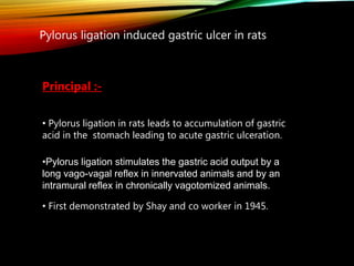 Pylorus ligastion method for anti ulcer study | PPTX