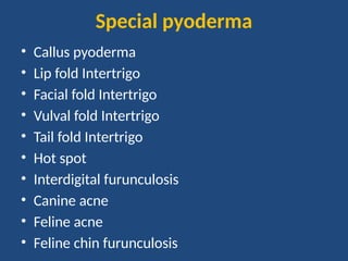 Bacterial skin diseases in dogs & cats.. | PPTX