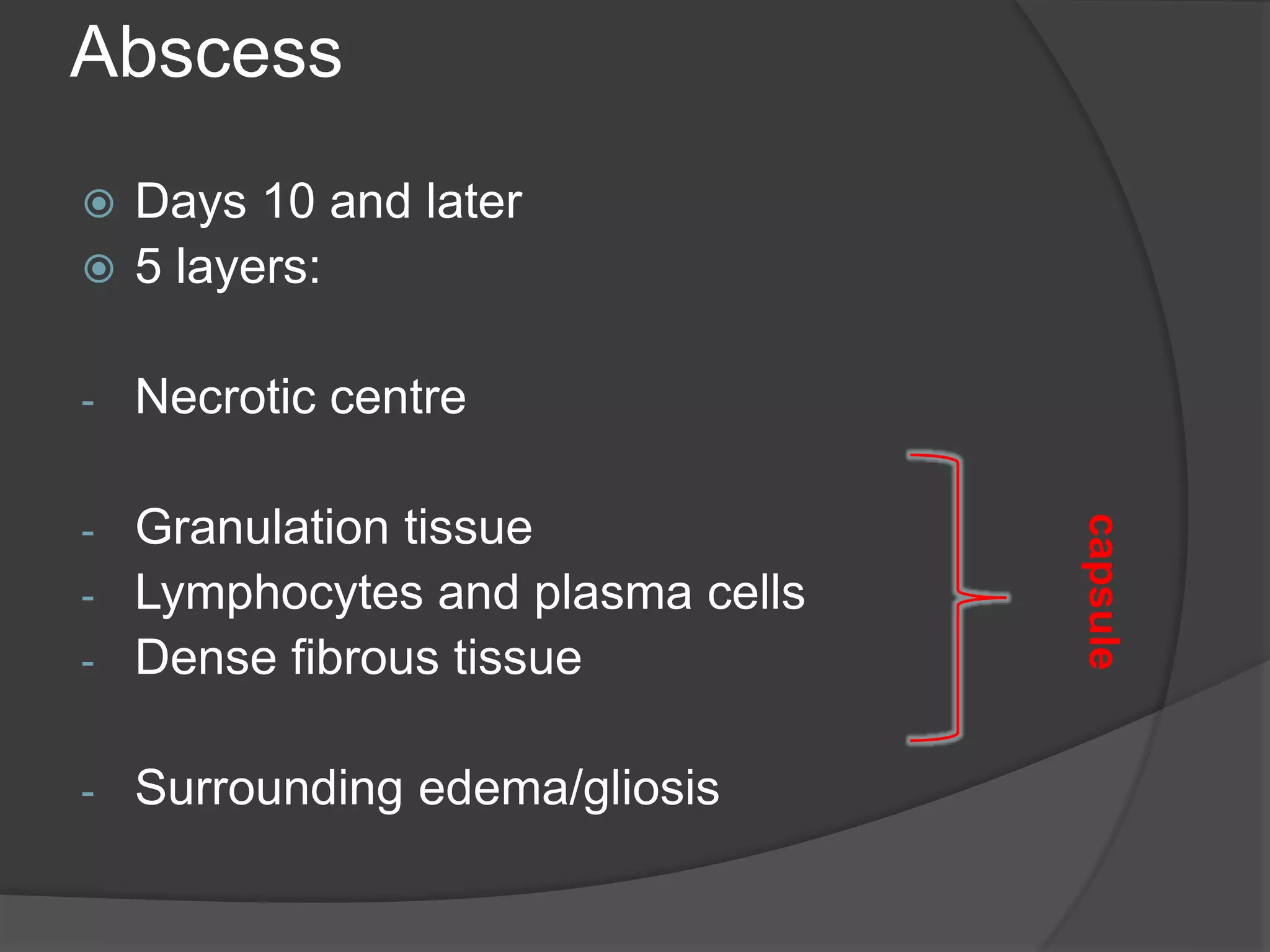 Magnetic resonance features of pyogenic brain abscesses and ...