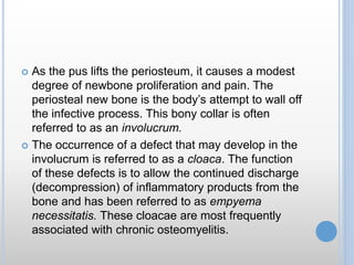 Pyogenic bone and joint infections | PPTX