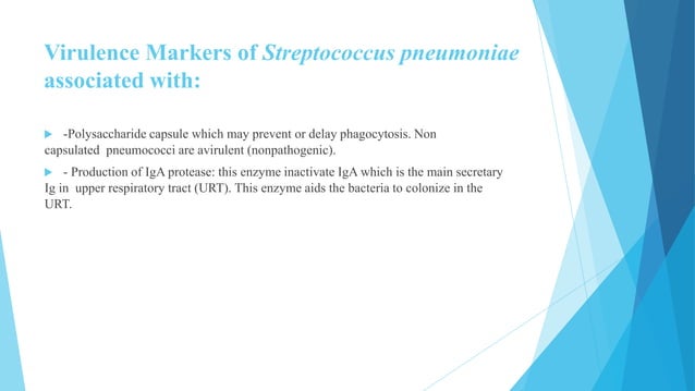 Pyogenic cocci.pptx | Blood Disorders | Diseases and Conditions