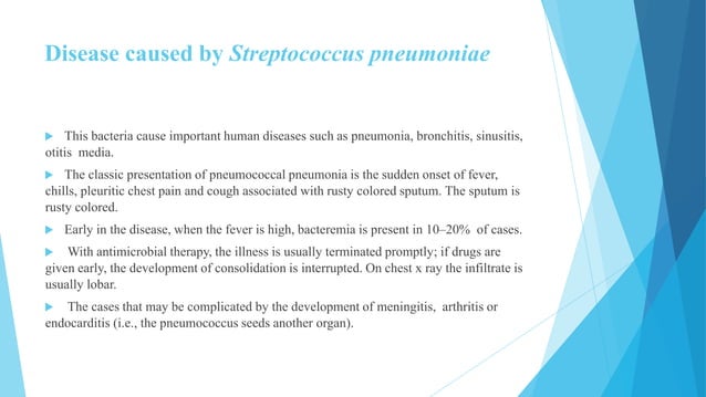 Pyogenic cocci.pptx | Blood Disorders | Diseases and Conditions