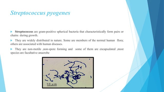 Pyogenic cocci.pptx | Blood Disorders | Diseases and Conditions